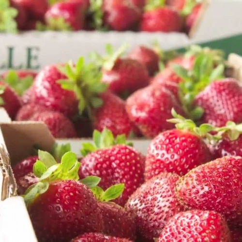 Produits du Terroir Vallée Coaticook | Produits de la ferme